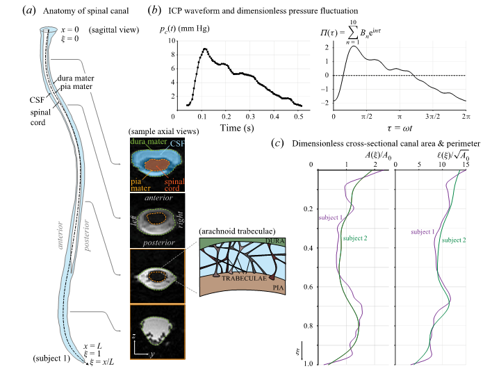 Research - Multiscale Flow Physics